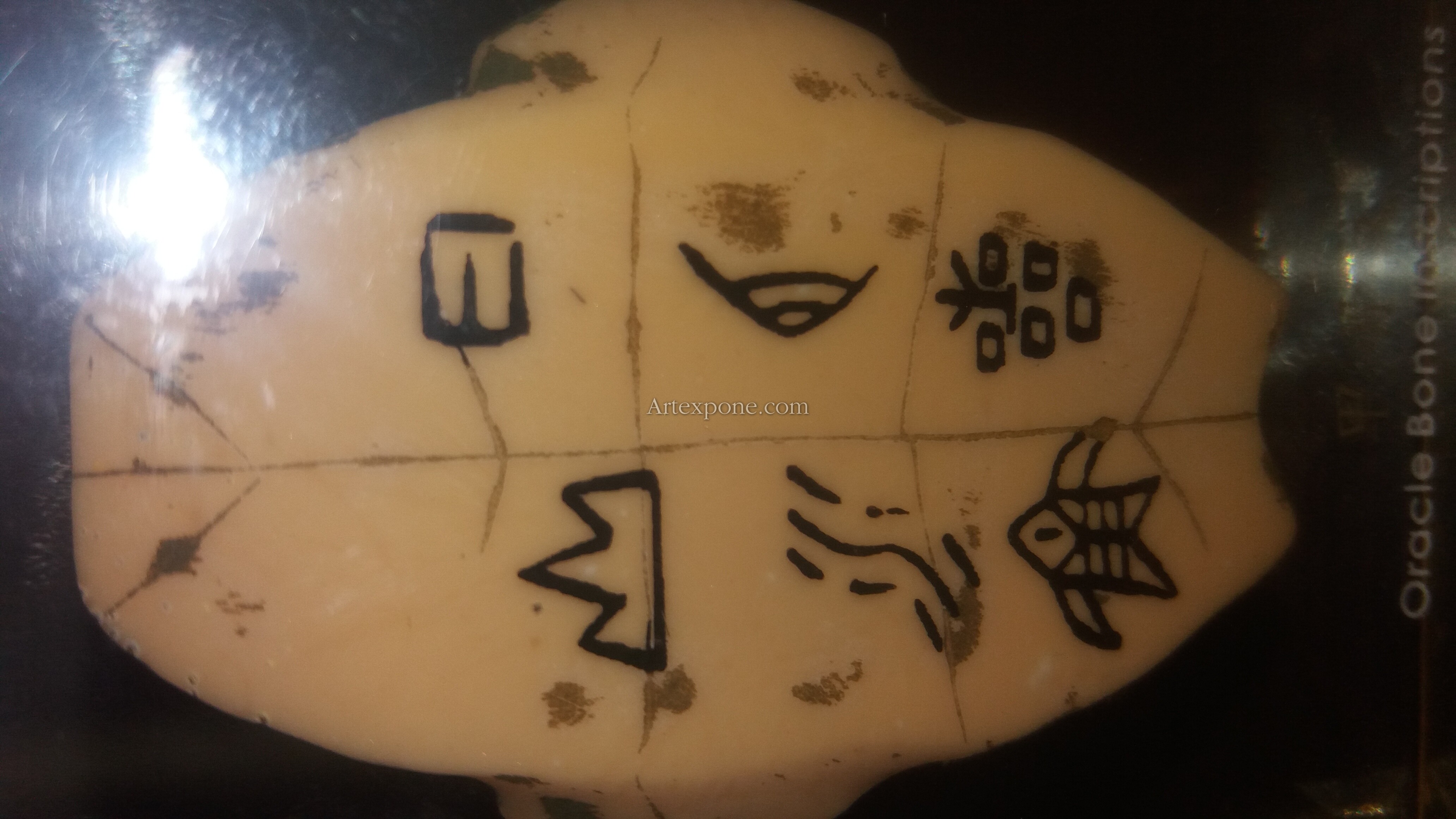 "Oracle Bone Inscriptions", Chinese Language . Obra de arte | Artexpone.com